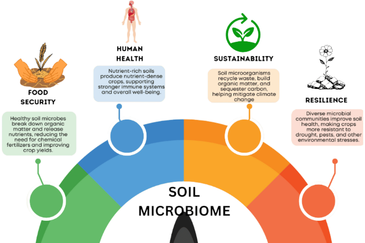 The soil microbiome as a classroom: Lessons for food security, health, and sustainability ...